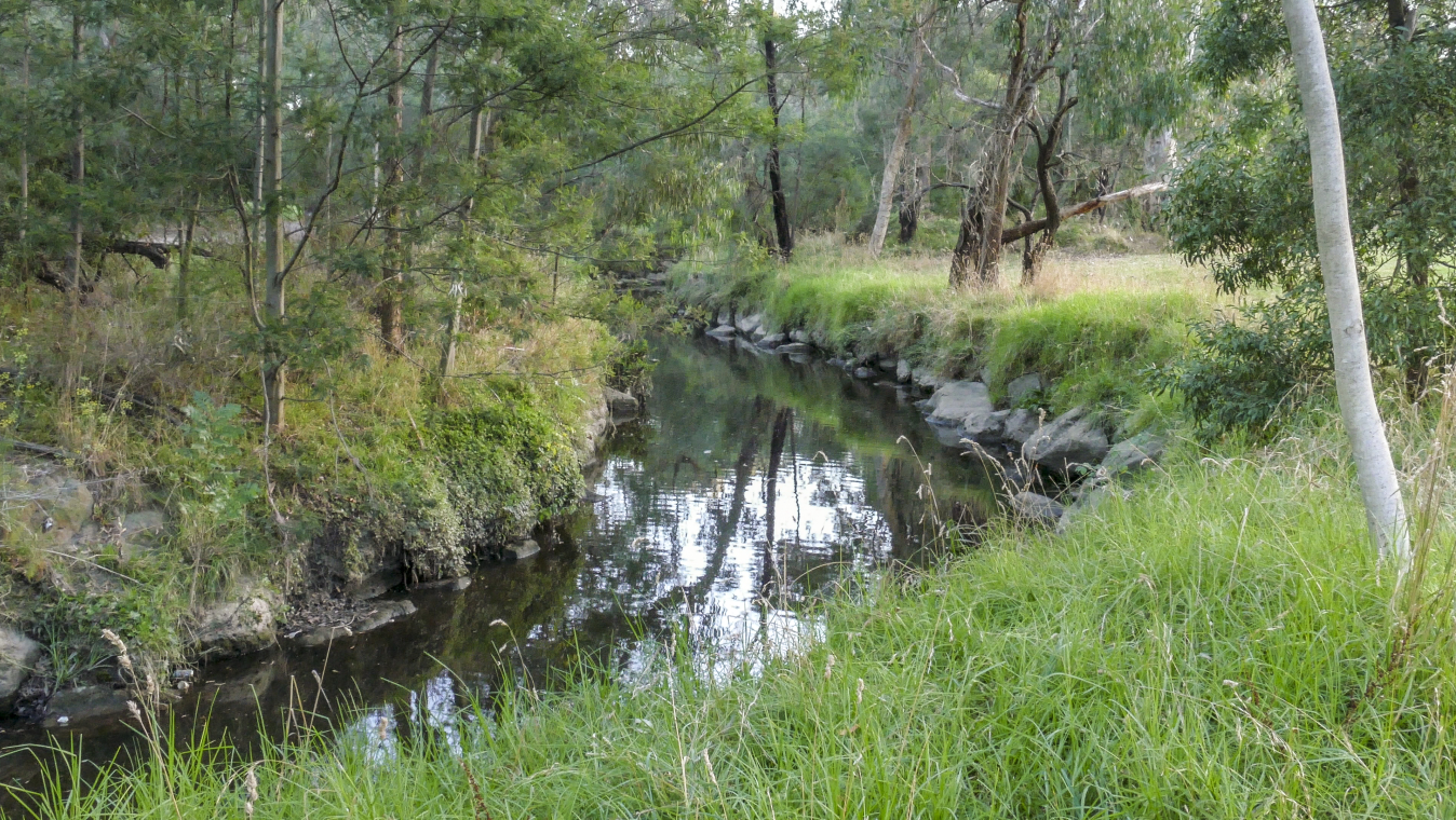 KooyongKoot – KooyongKoot Alliance