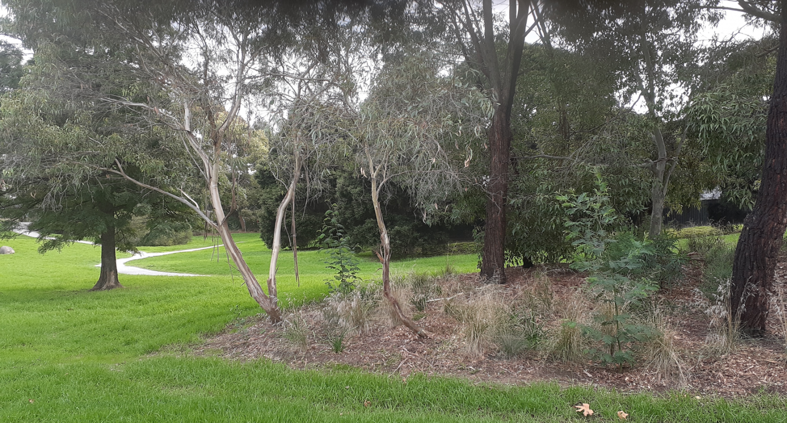 Back Creek – Ferndale – KooyongKoot Alliance