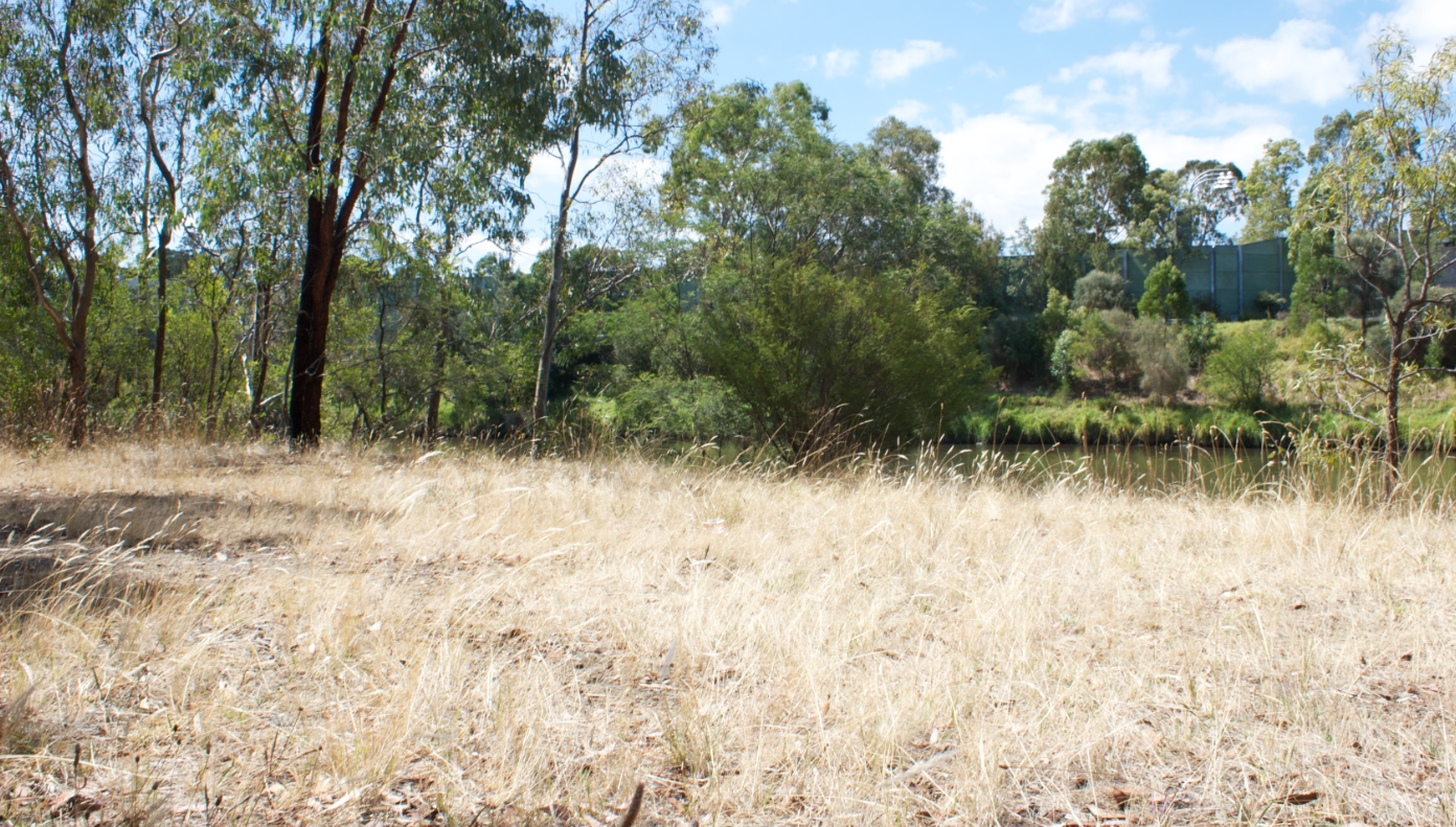 Yarra Link – KooyongKoot Alliance