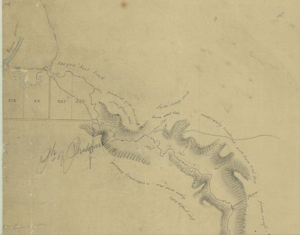 History – KooyongKoot Alliance