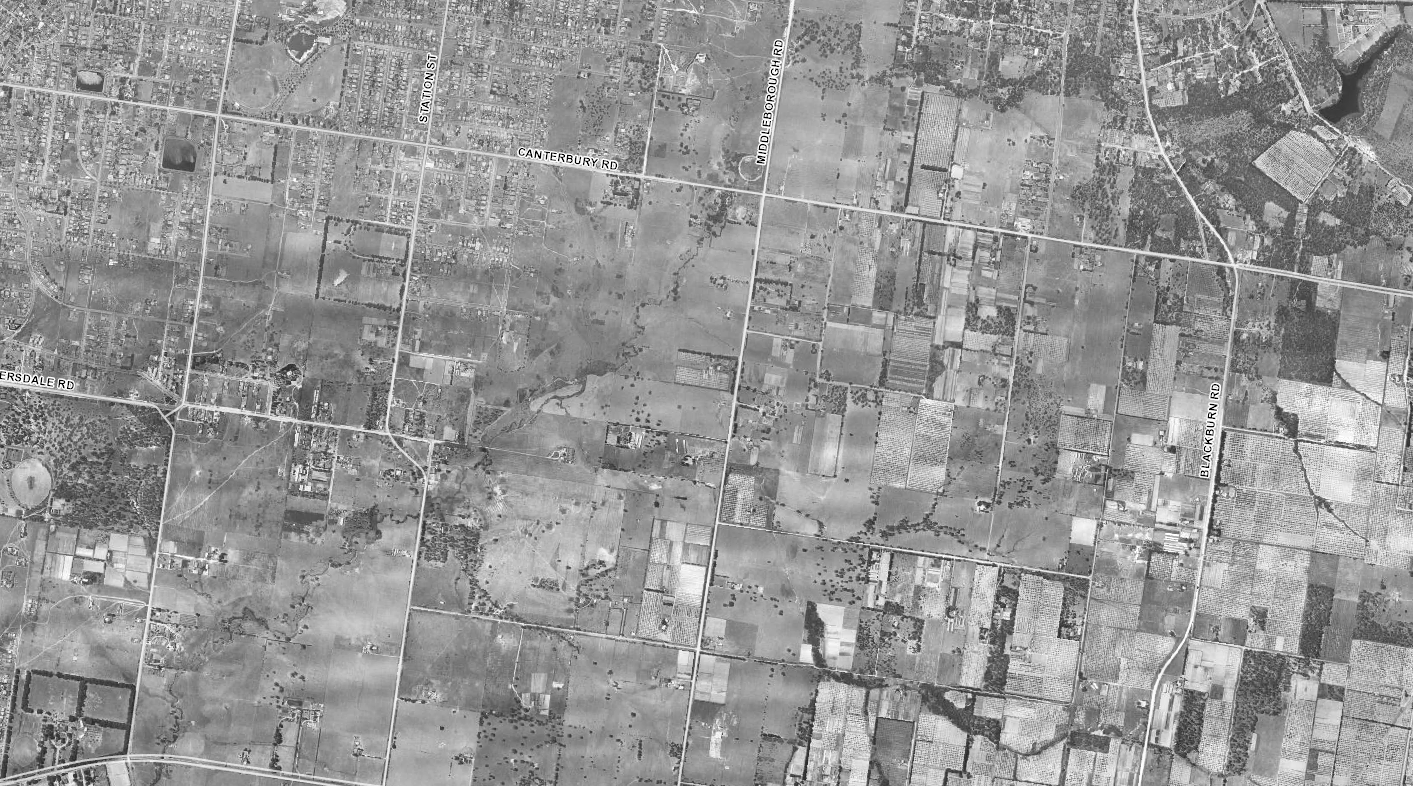 History – KooyongKoot Alliance