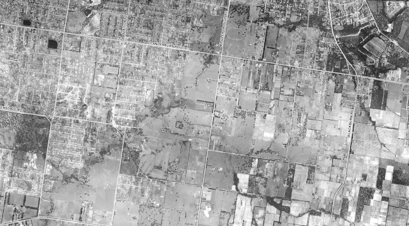 History – KooyongKoot Alliance